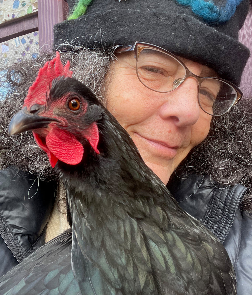 I love chickens! – Bella Luz Studio